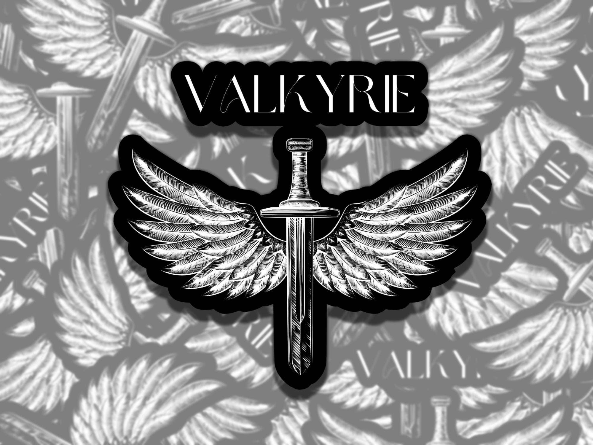 ACOTAR Valkyrie Sword Wings Vinyl Sticker for eReader – The Chapter Co
